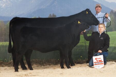 Lexikon der Rinderrassen: Angus - Offizielle Webseite der RINDERZUCHT ...
