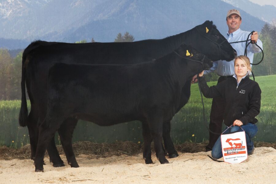 Lexikon der Rinderrassen: Angus - Offizielle Webseite der RINDERZUCHT ...